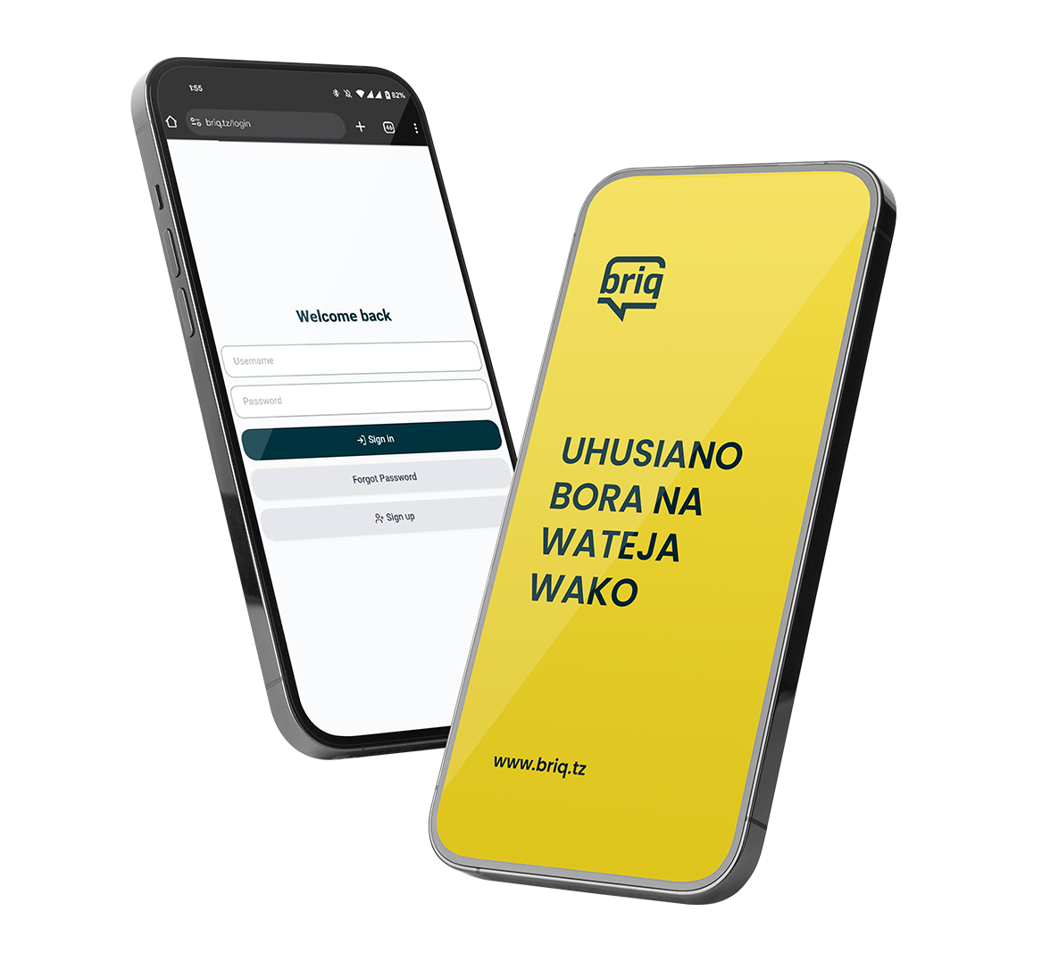 Bulk SMS Tanzania | SMS API & OTP Services | BRIQ Solutions